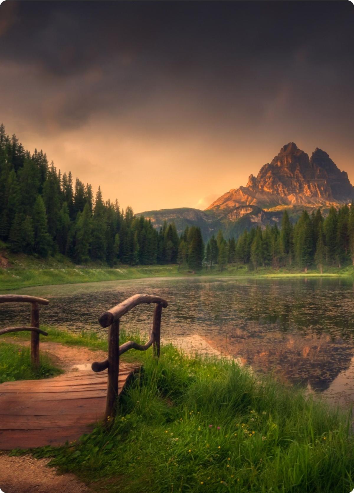 Homepage [discoversaudi.sa]